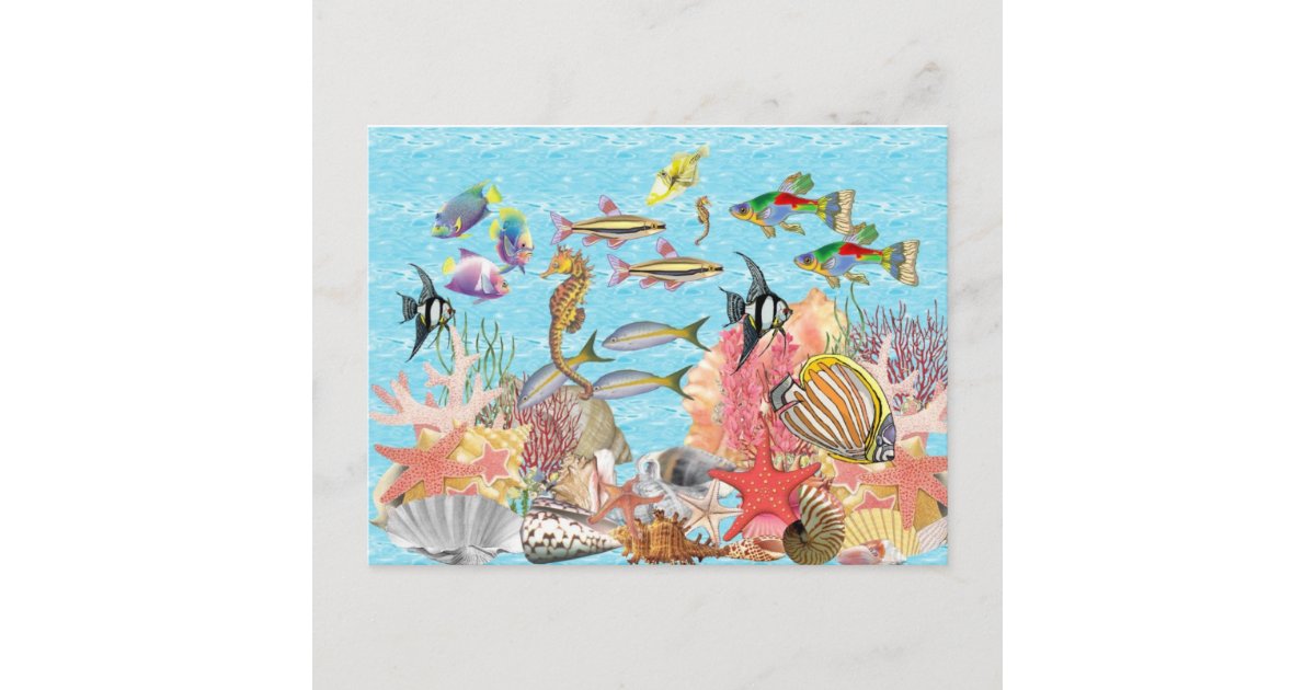 Under the sea postcard | Zazzle