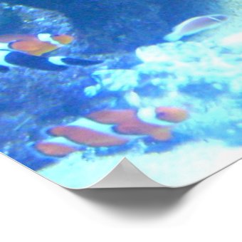 Under the sea Poster | Zazzle