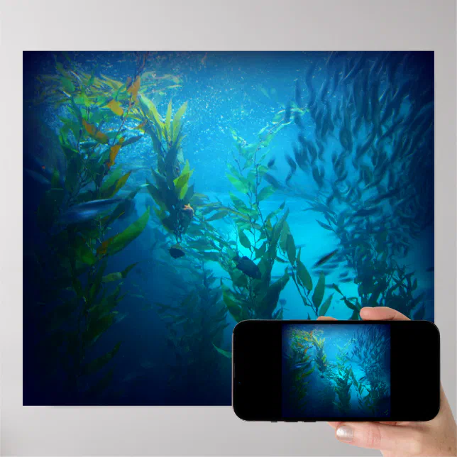 Under the Sea Poster | Zazzle