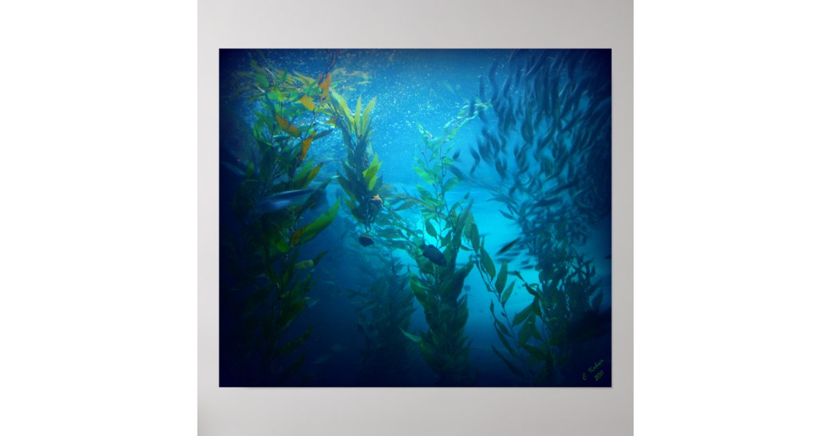 Under the Sea Poster | Zazzle