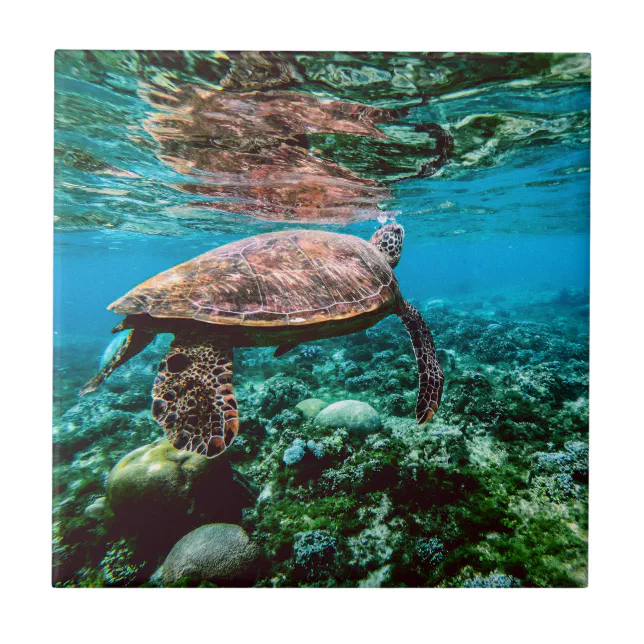 Undersea Tropical Sea Turtle Ceramic Tile | Zazzle