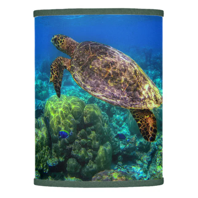 Undersea Tropical Sea Turtle Coral Lamp Shade | Zazzle