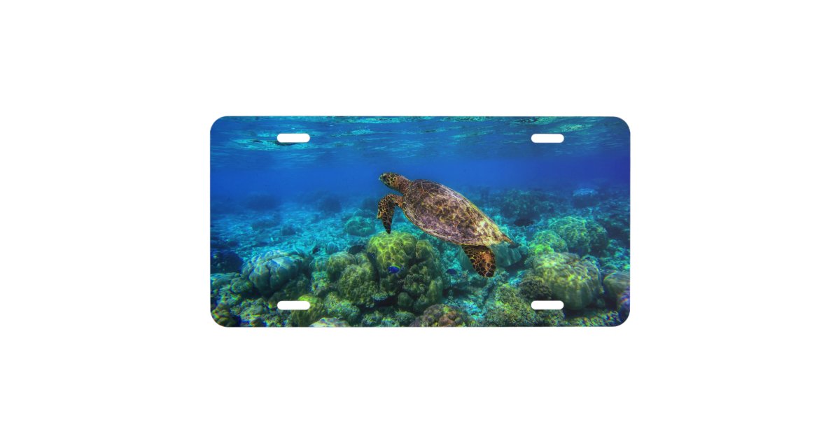 Undersea Tropical Sea Turtle Coral License Plate | Zazzle