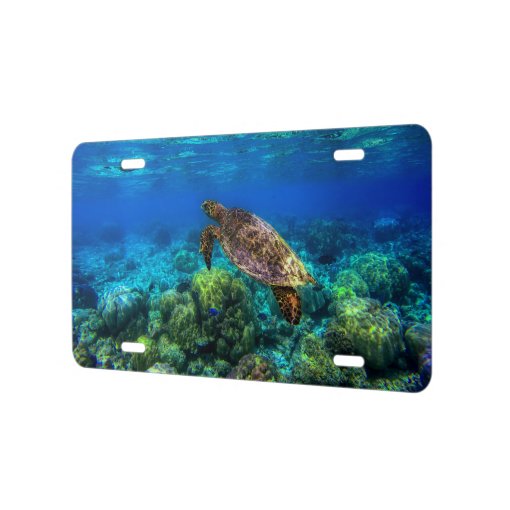 Undersea Tropical Sea Turtle Coral License Plate | Zazzle