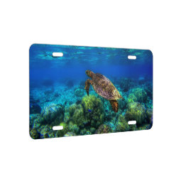 Undersea Tropical Sea Turtle Coral License Plate | Zazzle