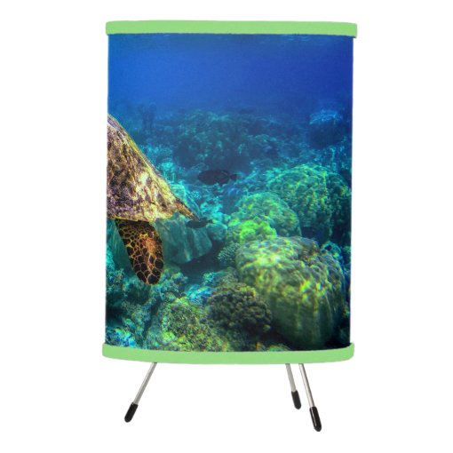 Undersea Tropical Sea Turtle Coral Tripod Lamp | Zazzle