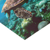 Undersea Tropical Sea Turtle Tissue Paper | Zazzle