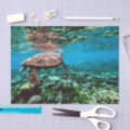 Undersea Tropical Sea Turtle Tissue Paper | Zazzle