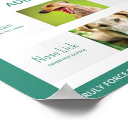 Understanding Dog Body Language 16 x 20 Poster | Zazzle