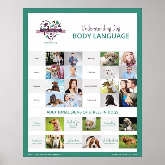 Understanding Dog Body Language 16 x 20 Poster | Zazzle.com