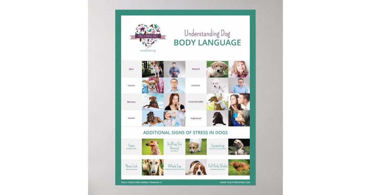 Understanding Dog Body Language 16 x 20 Poster | Zazzle