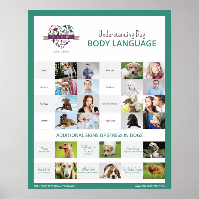 Understanding Dog Body Language 16 x 20 Poster | Zazzle