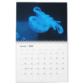 Underwater Calendar | Zazzle