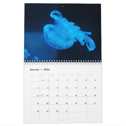 Underwater Calendar | Zazzle