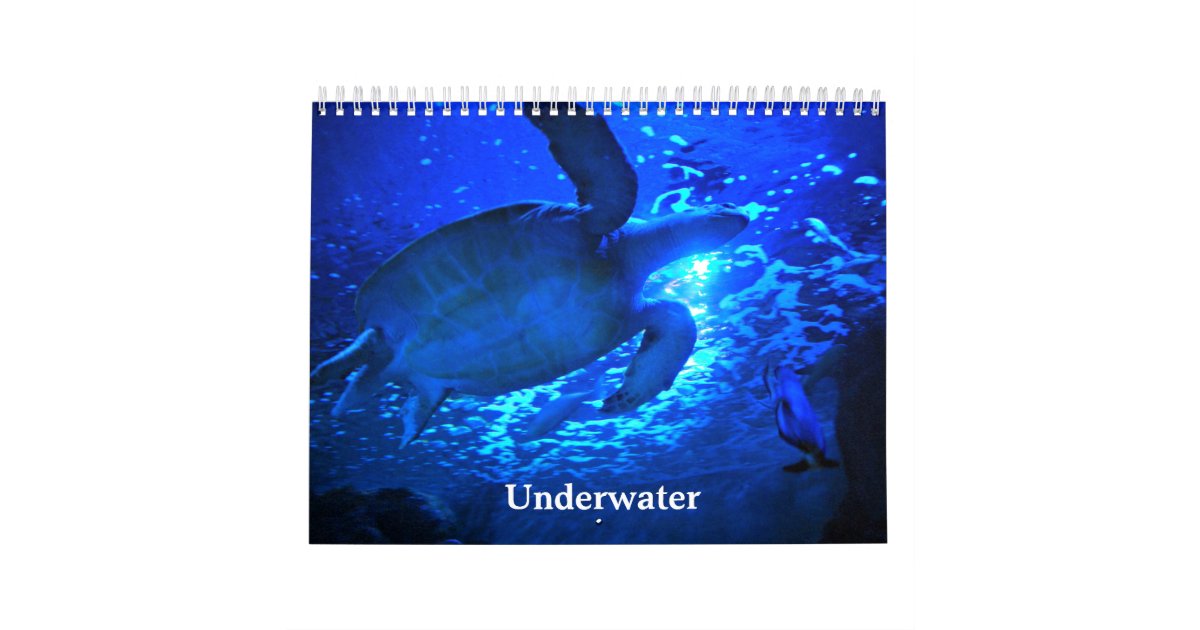 Underwater Calendar | Zazzle