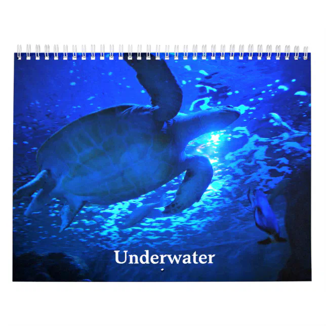 Underwater Calendar | Zazzle