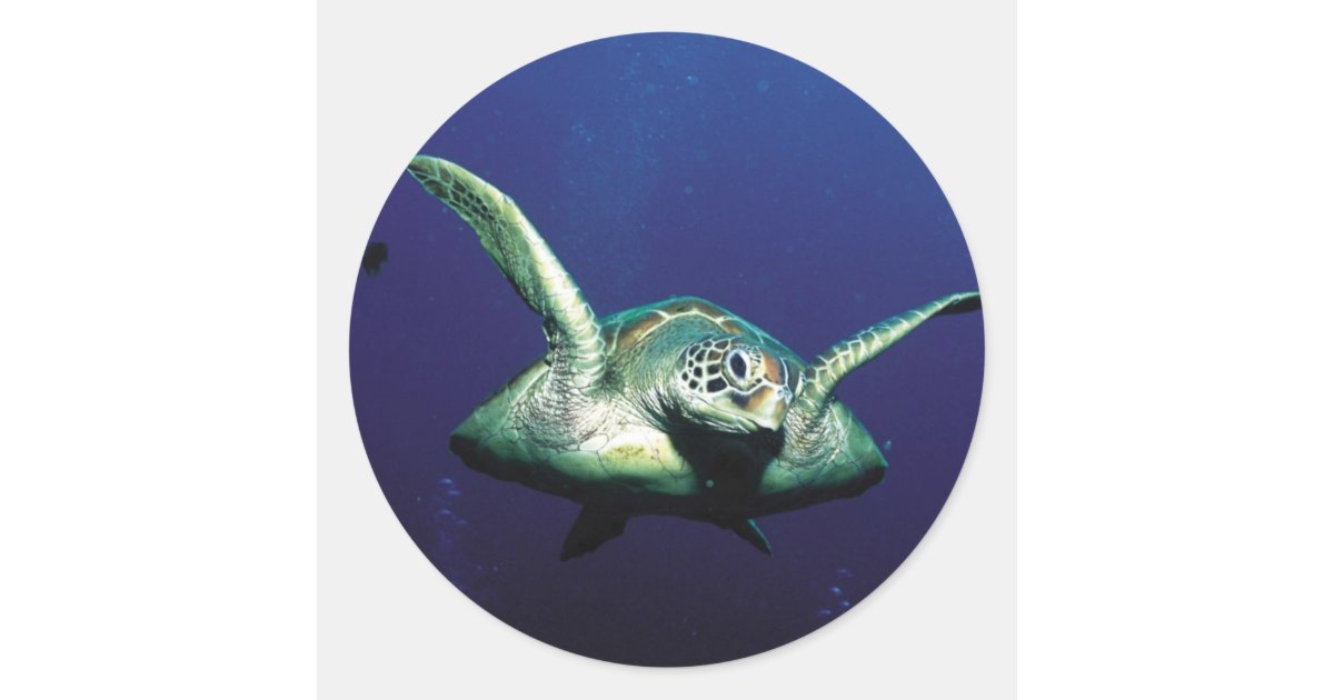 Underwater Flight Classic Round Sticker | Zazzle