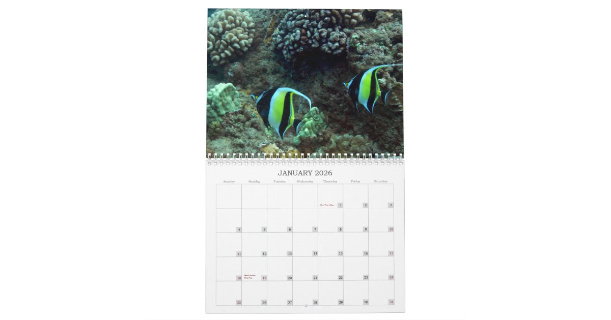 Underwater Maui Calendar | Zazzle