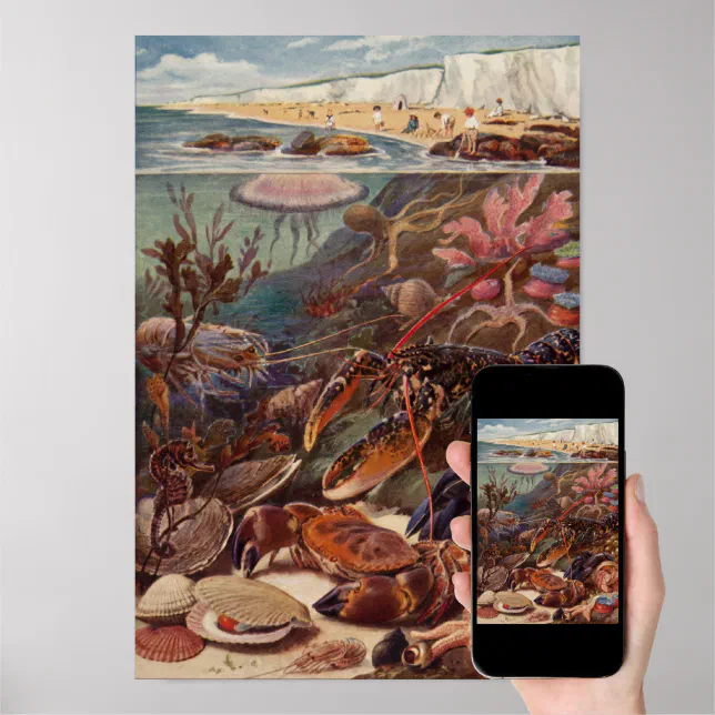 Underwater Sea Crab Lobster Marine Clam Coral Poster | Zazzle