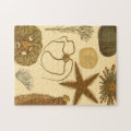 Underwater Sea Creatures Jigsaw Puzzle | Zazzle