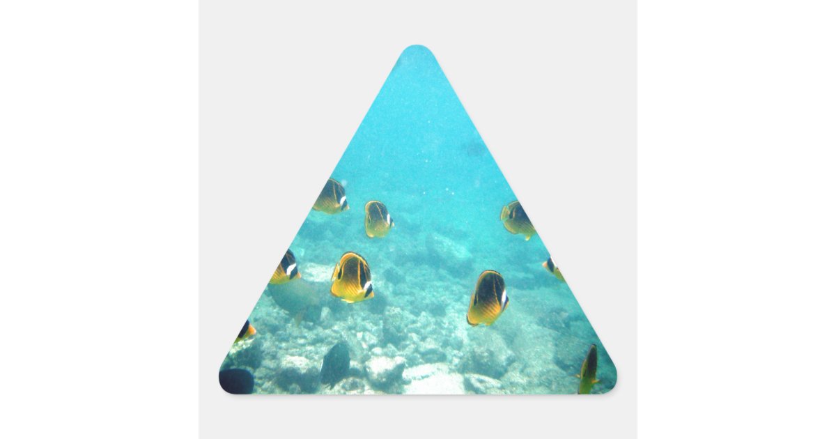 Underwater Tropical Fish Triangle Sticker | Zazzle