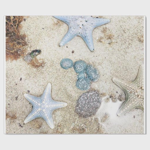 underwater world of colored starfish wrapping pap wrapping paper | Zazzle