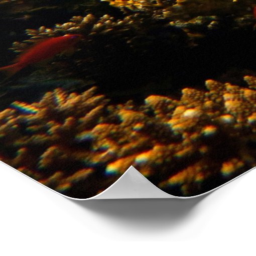 Underwater world poster | Zazzle