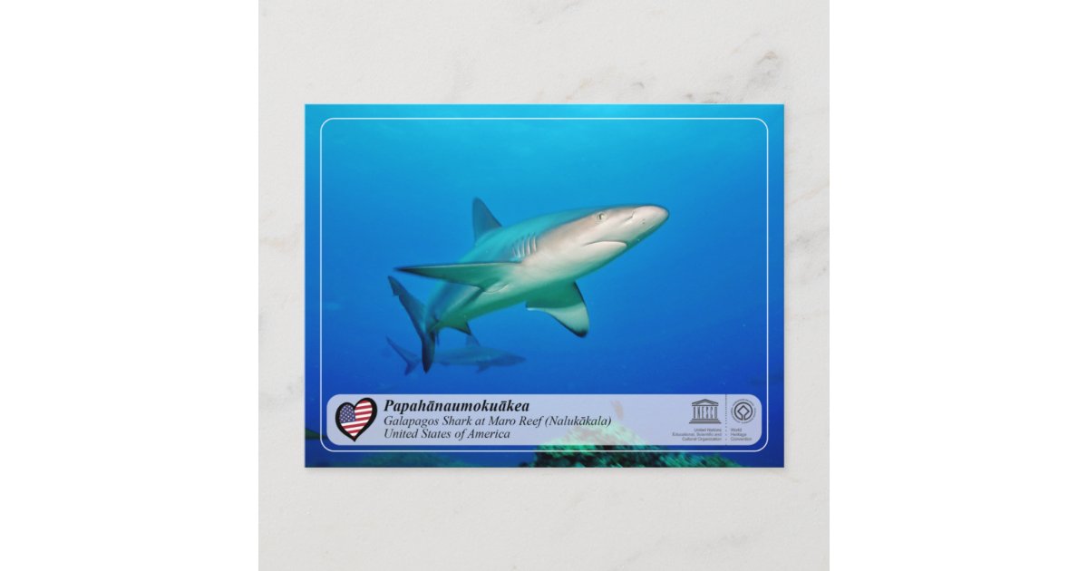 UNESCO - Papahānaumokuākea - Maro Reef Postcard | Zazzle