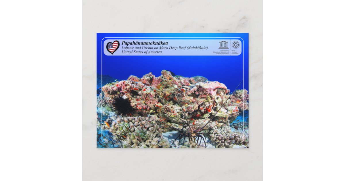 UNESCO - Papahānaumokuākea - Maro Reef Postcard | Zazzle