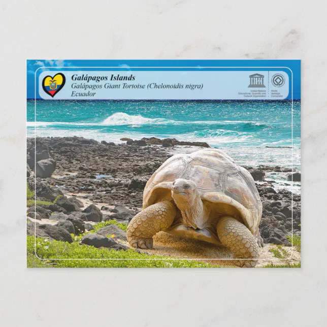 UNESCO WHS - Galápagos Islands - Giant Tortoise Postcard | Zazzle