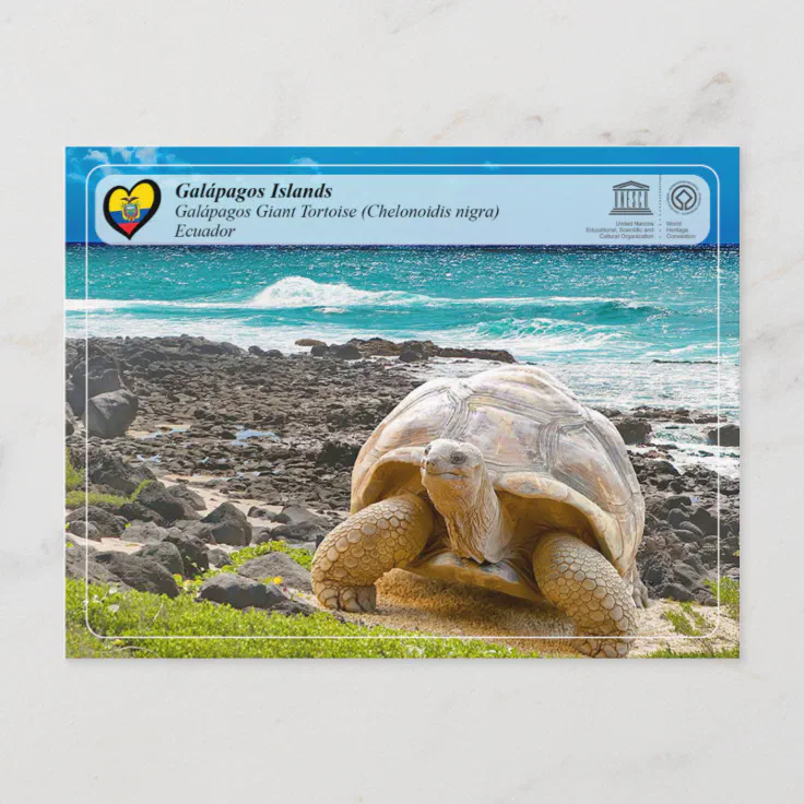 UNESCO WHS - Galápagos Islands - Giant Tortoise Postcard | Zazzle