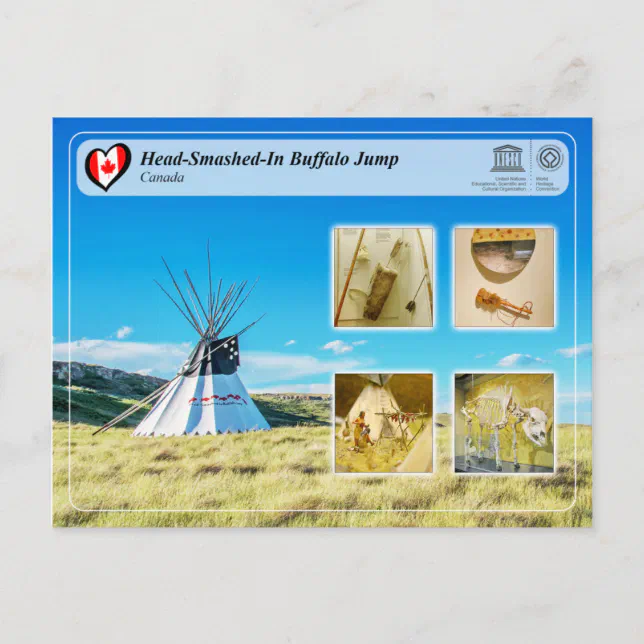 UNESCO WHS - Head-Smashed-In Buffalo Jump Postcard | Zazzle