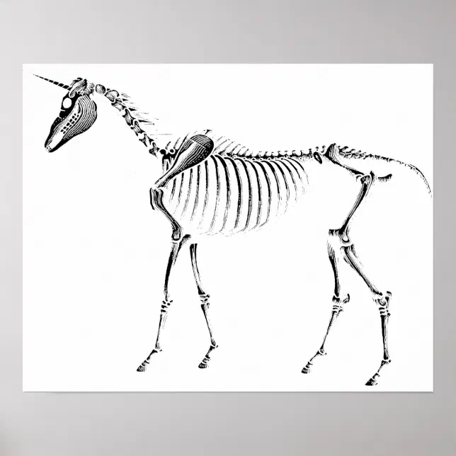 Unicorn Skeleton Poster | Zazzle