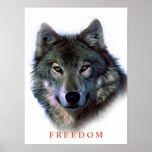 Unique Motivational Freedom Wolf Poster | Zazzle