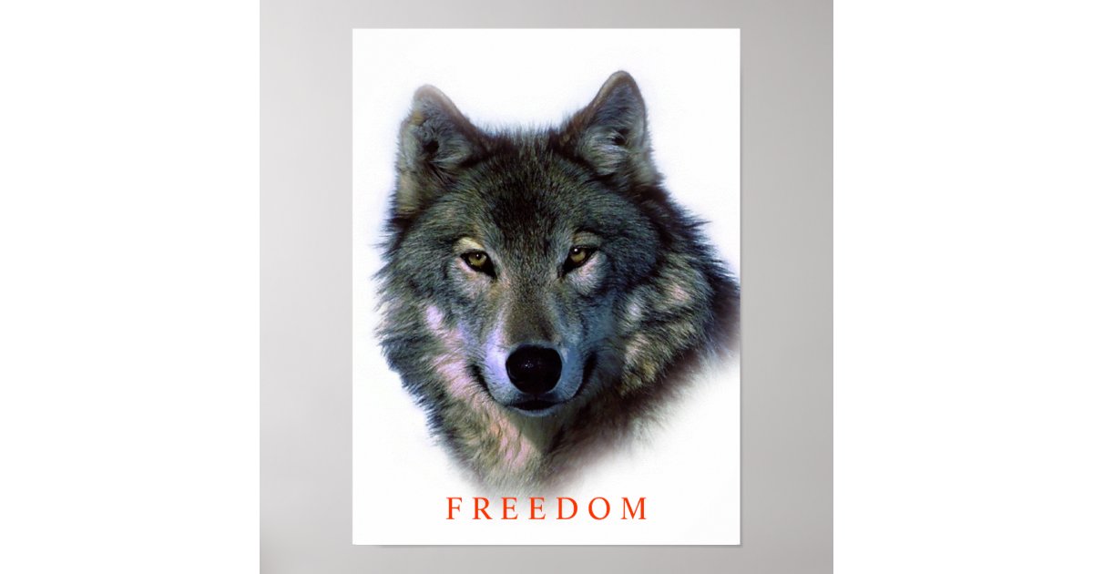 Unique Motivational Freedom Wolf Poster | Zazzle