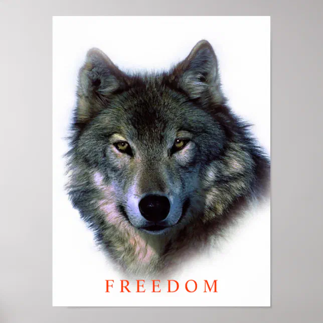 Unique Motivational Freedom Wolf Poster | Zazzle