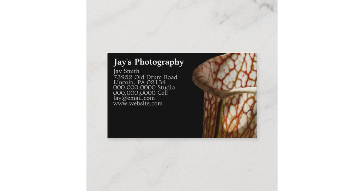 Unique Photography Business Cards | Zazzle
