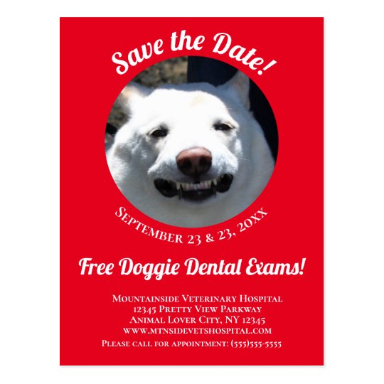Unique Red Smiling Dog Pet Care Event Reminder Postcard | Zazzle.com