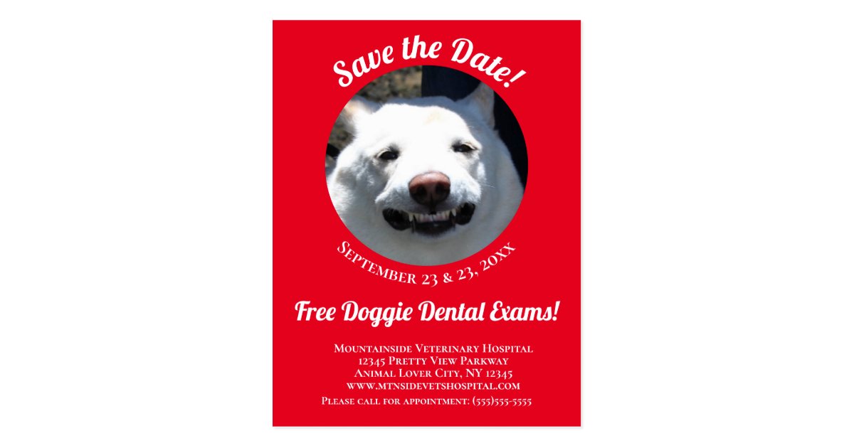 Unique Red Smiling Dog Pet Care Event Reminder Postcard | Zazzle.com
