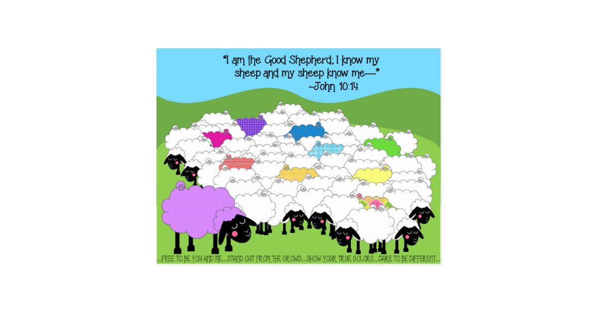 Unique Sheep Good Shepherd Inspirational Postcard | Zazzle.com