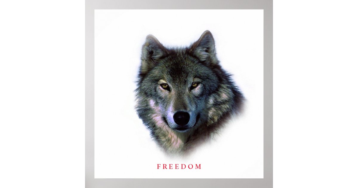 Unique Square Motivational Freedom Wolf Poster | Zazzle