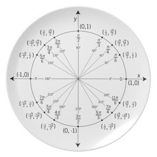 Unit Circle Plate | Zazzle