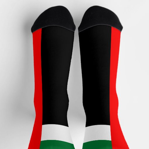United Arab Emirates Flag Patriotic UAE National Socks | Zazzle