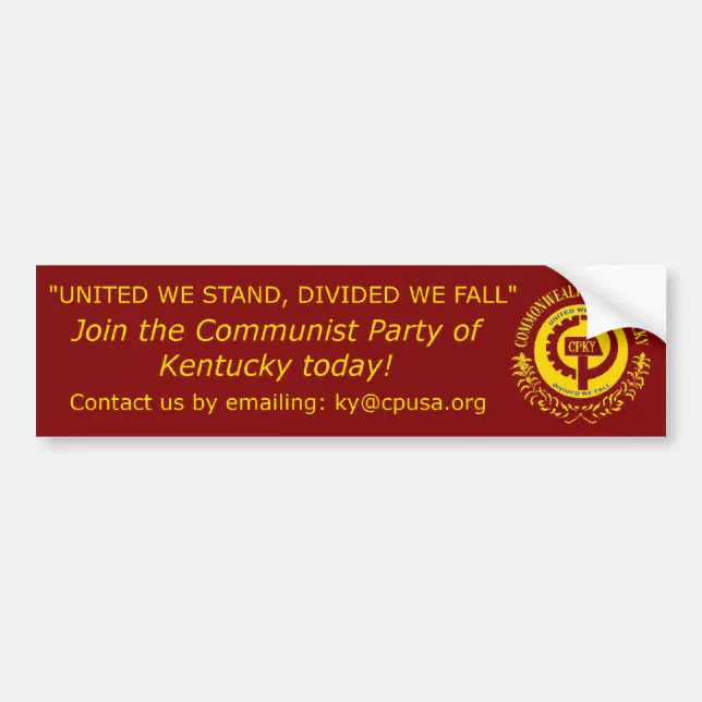 "United we stand, Divided we fall" Bumper Sticker | Zazzle
