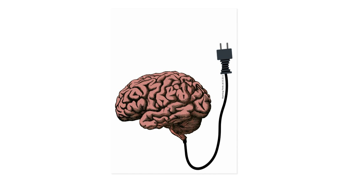 Unplugged Brain Steampunk Curiosity Anatomy Postcard | Zazzle.com