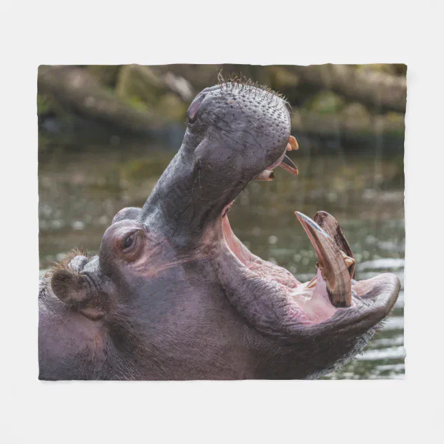 Up Close with a Hippo: Teeth on Display Fleece Blanket | Zazzle