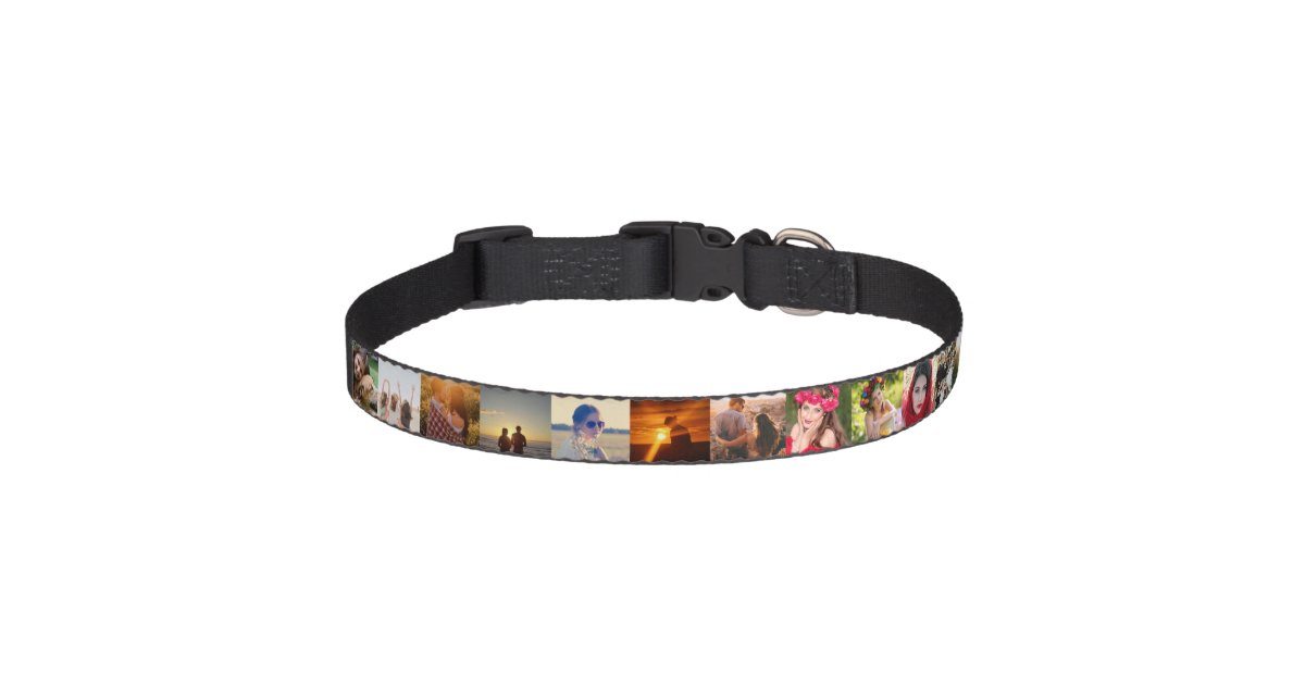Upload photo pet collar | Zazzle