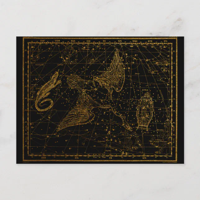Urania's Mirror Celestial Map Gold and Black Postcard | Zazzle