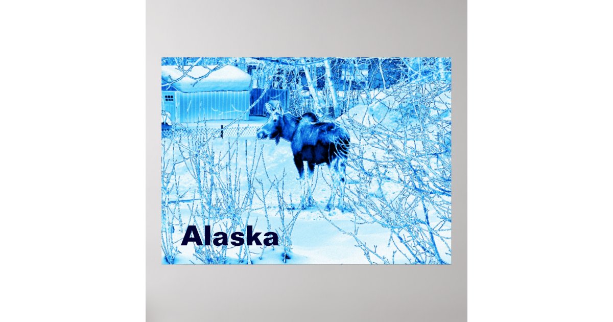 Urban Moose Poster | Zazzle