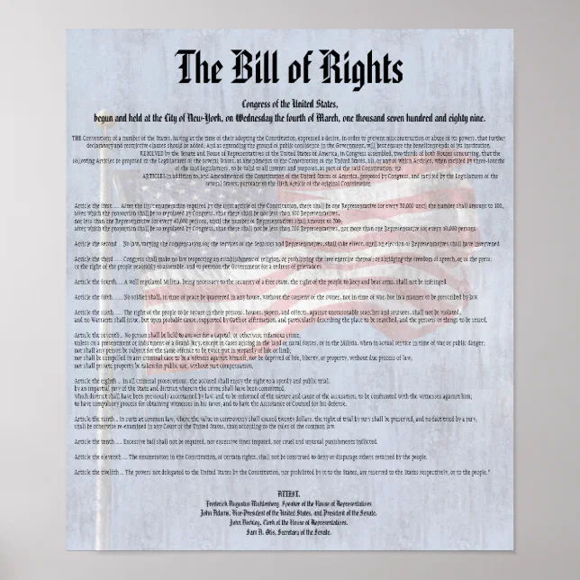 US Constitution Bill of Rights History Classroom Poster | Zazzle